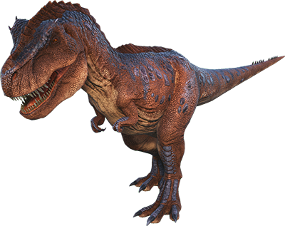 Магазин "REAL ARK"